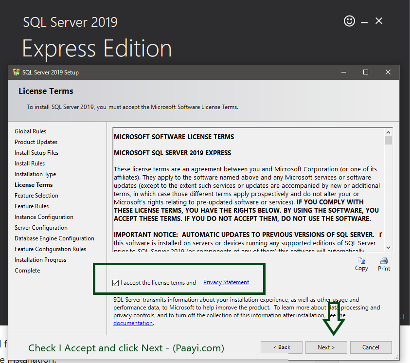 Step 13. Click "Next" to accept the license terms and privacy statements.