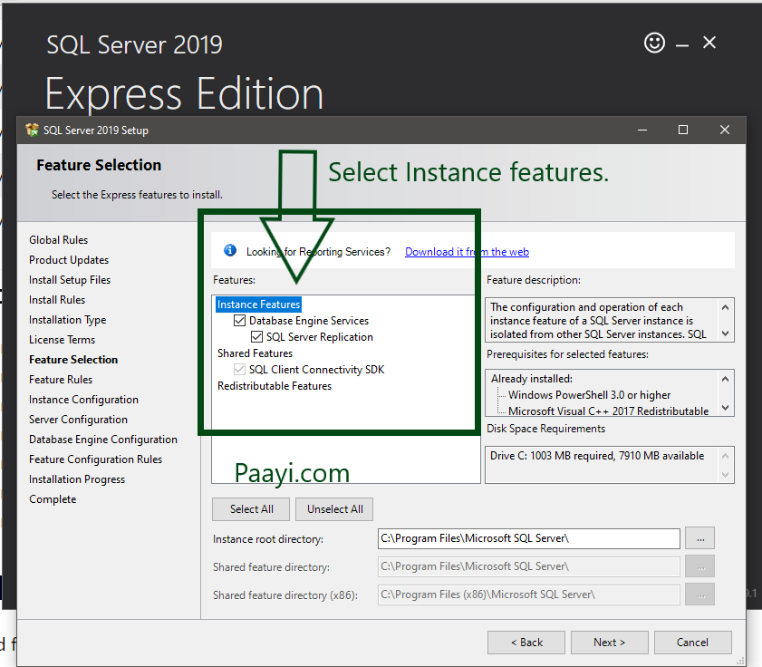 Step 14. This is the time when you can select the SQL instance features.